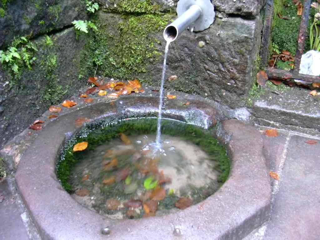 Les sources miraculeuses de l'Est de la France (Alsace, Lorraine et ...